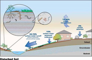 Naturcycle – Restoring Earth