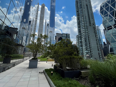 Green Roof Installations – Naturcycle