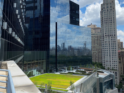 Green Roof Installations – Naturcycle