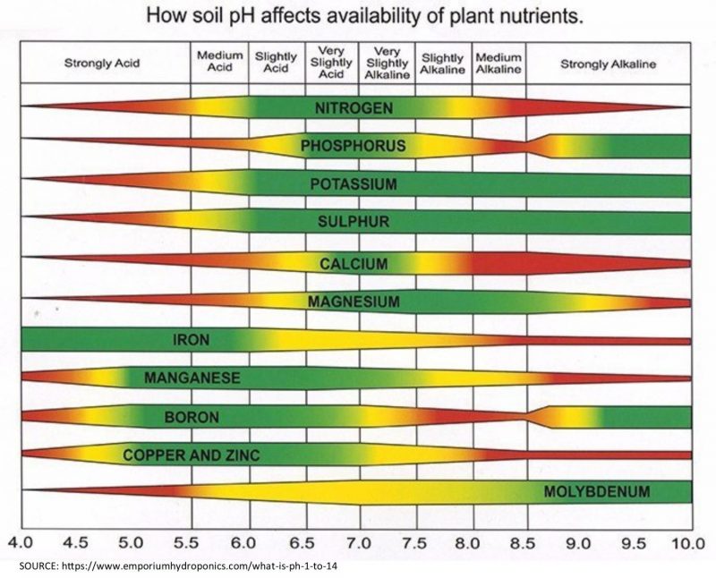 Soil pH & Engineered Media – Naturcycle